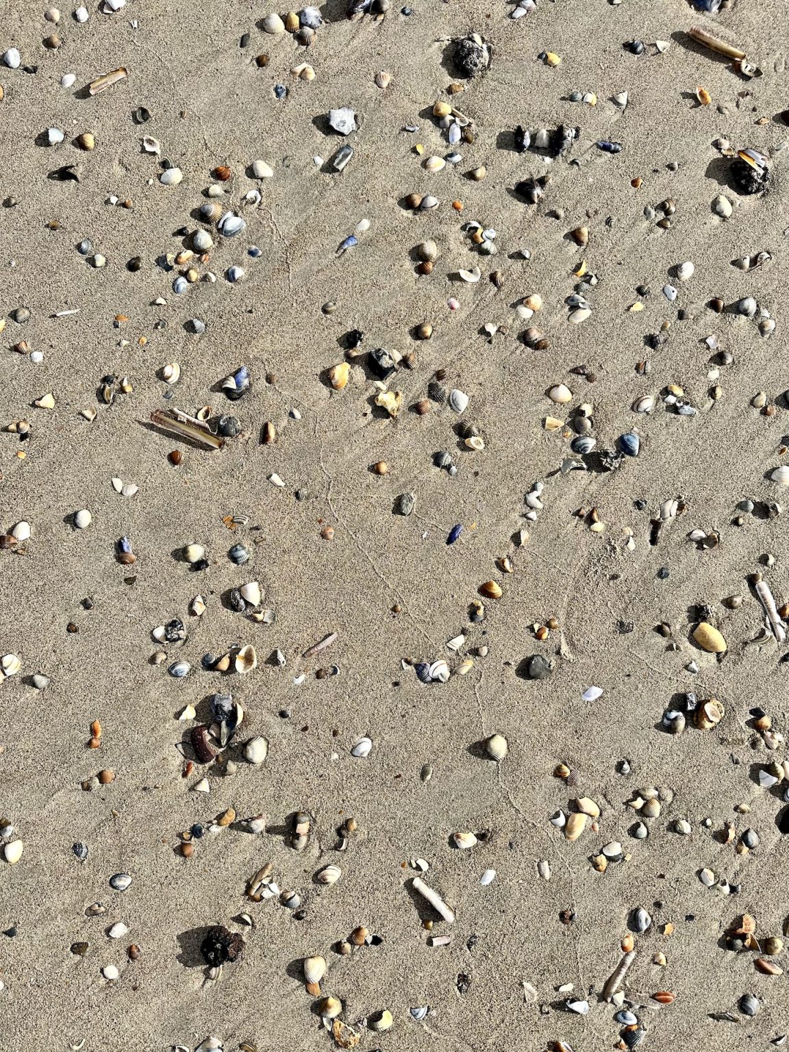 Wat te doen in Lille? 5 tips - Travelwriter.nl